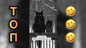 Топ клипов за неделю: часть 3