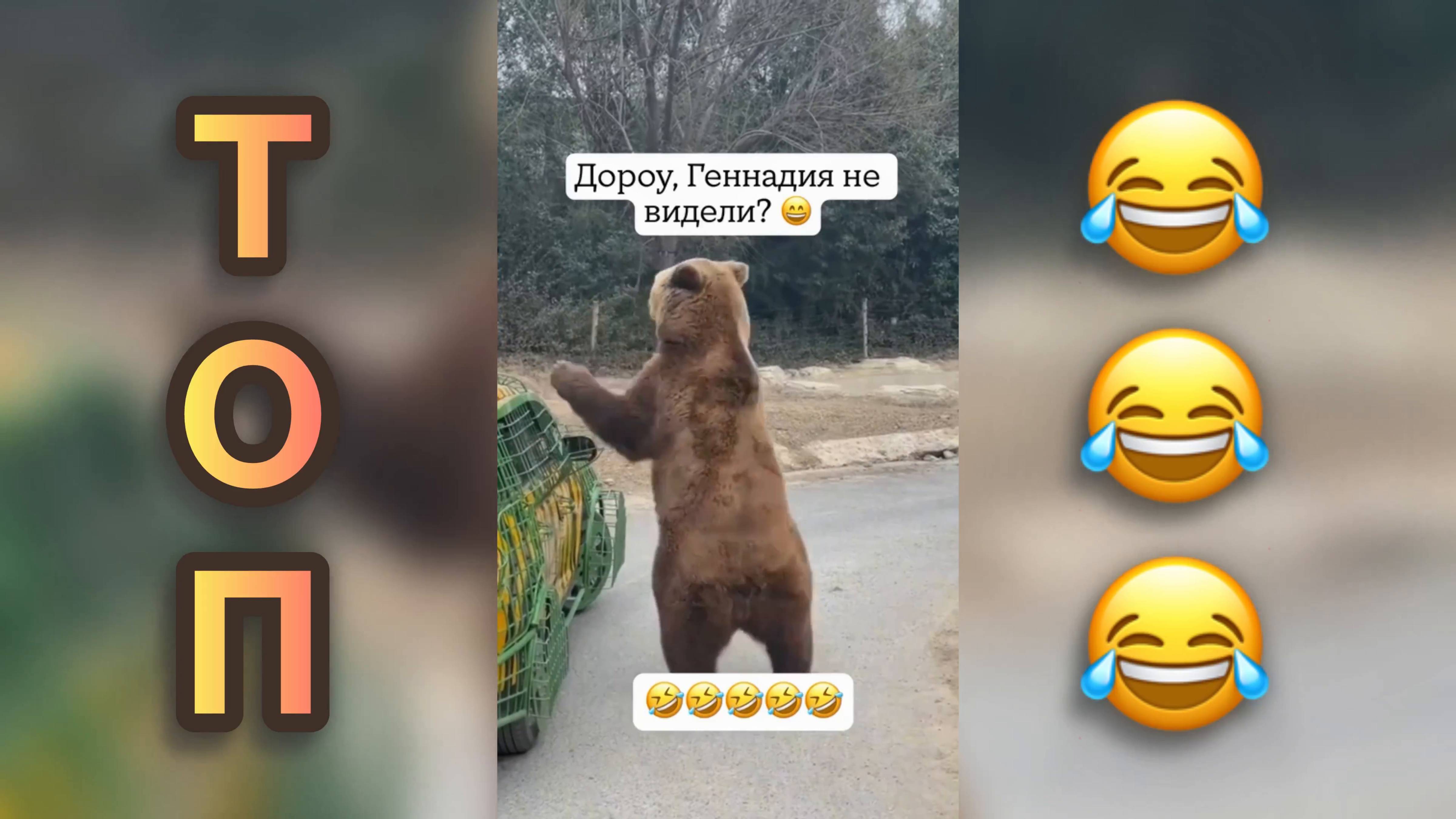 Топ клипов за неделю: часть 1