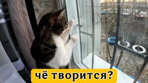 ЧЁ ТВОРИТСЯ / Всё ЛОМАЮТ - ЧТО-ТО будет...