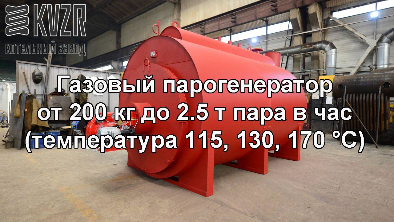 Газовый парогенератор от 200 кг до 2.5 т пара в час  (температура 115, 130, 170 º С)