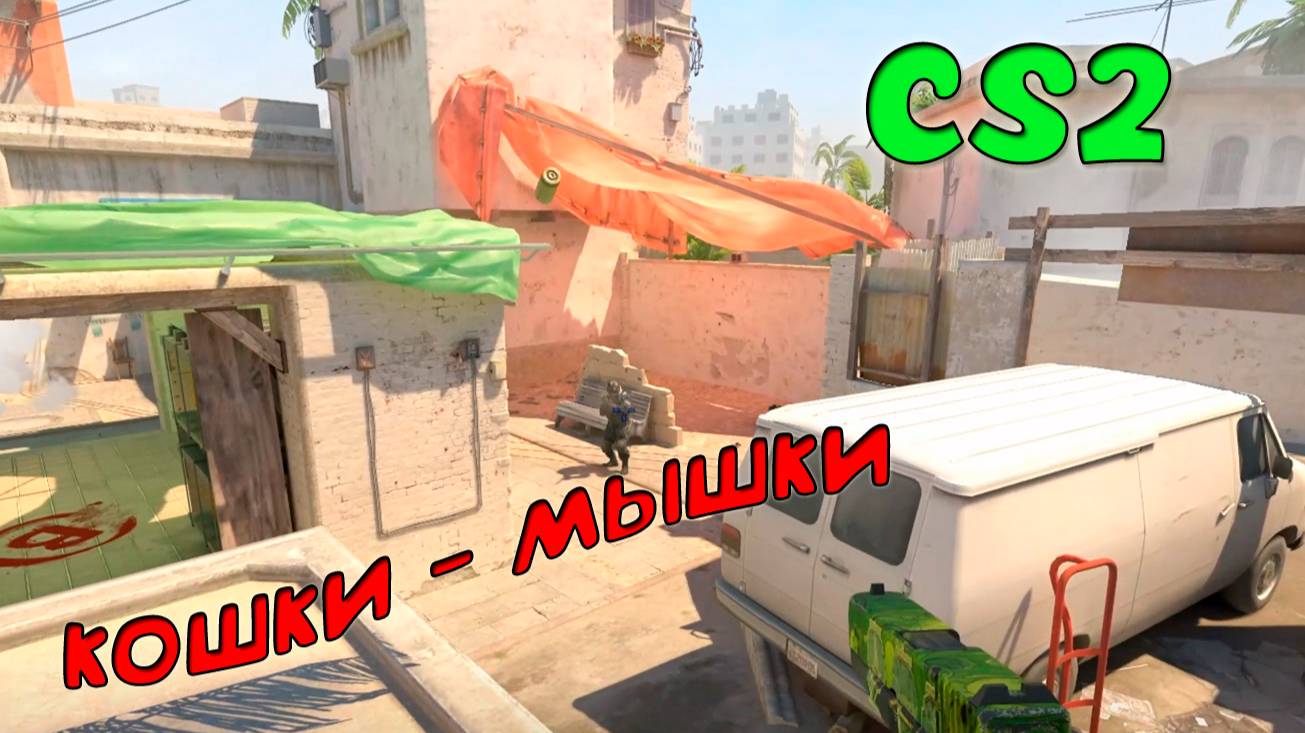 CS2. Кошки-мышки