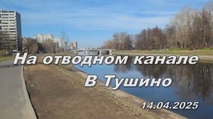 В канале в Тушино. 14.04.2025