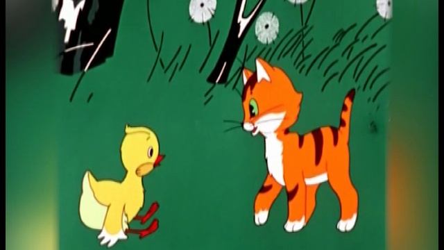 Сәңгелдәк | Күҙ йәше  | ТАМЫР