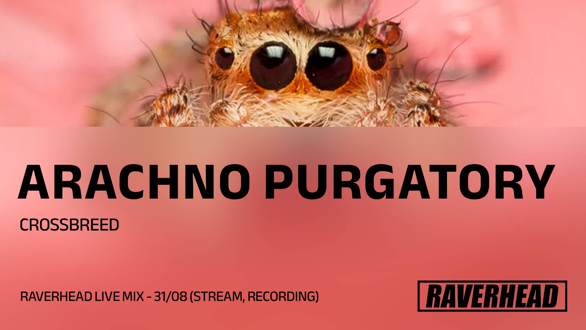 Лайв сет от ARACHNO PURGATORY 31/08