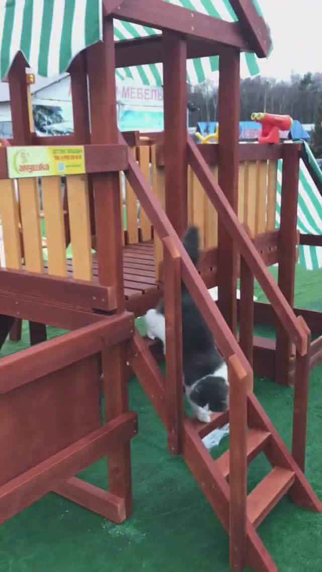 Детская игровая площадка Савушка Baby Play 13