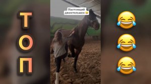 Топ клипов за неделю: часть 7