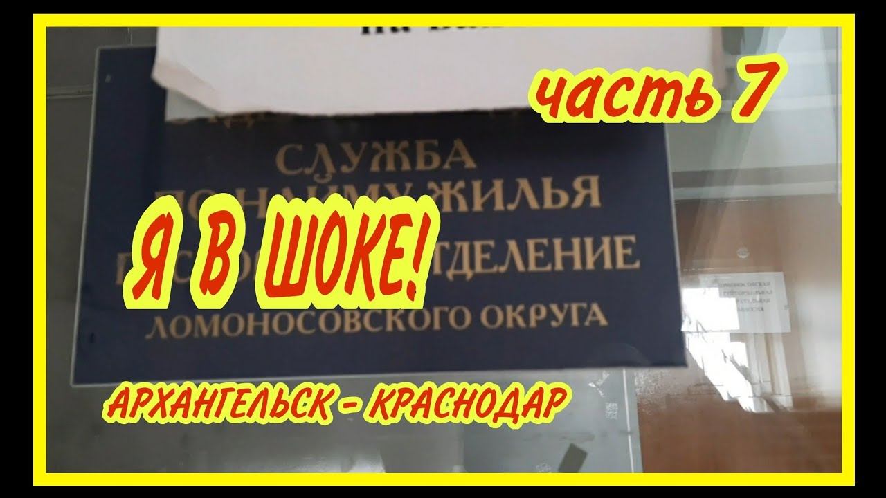 7. ПЕРЕЕЗД В КРАСНОДАР. КТО ИЗ НАС ДУРАК? ТАКОЕ ТОЛЬКО В РОССИИ?