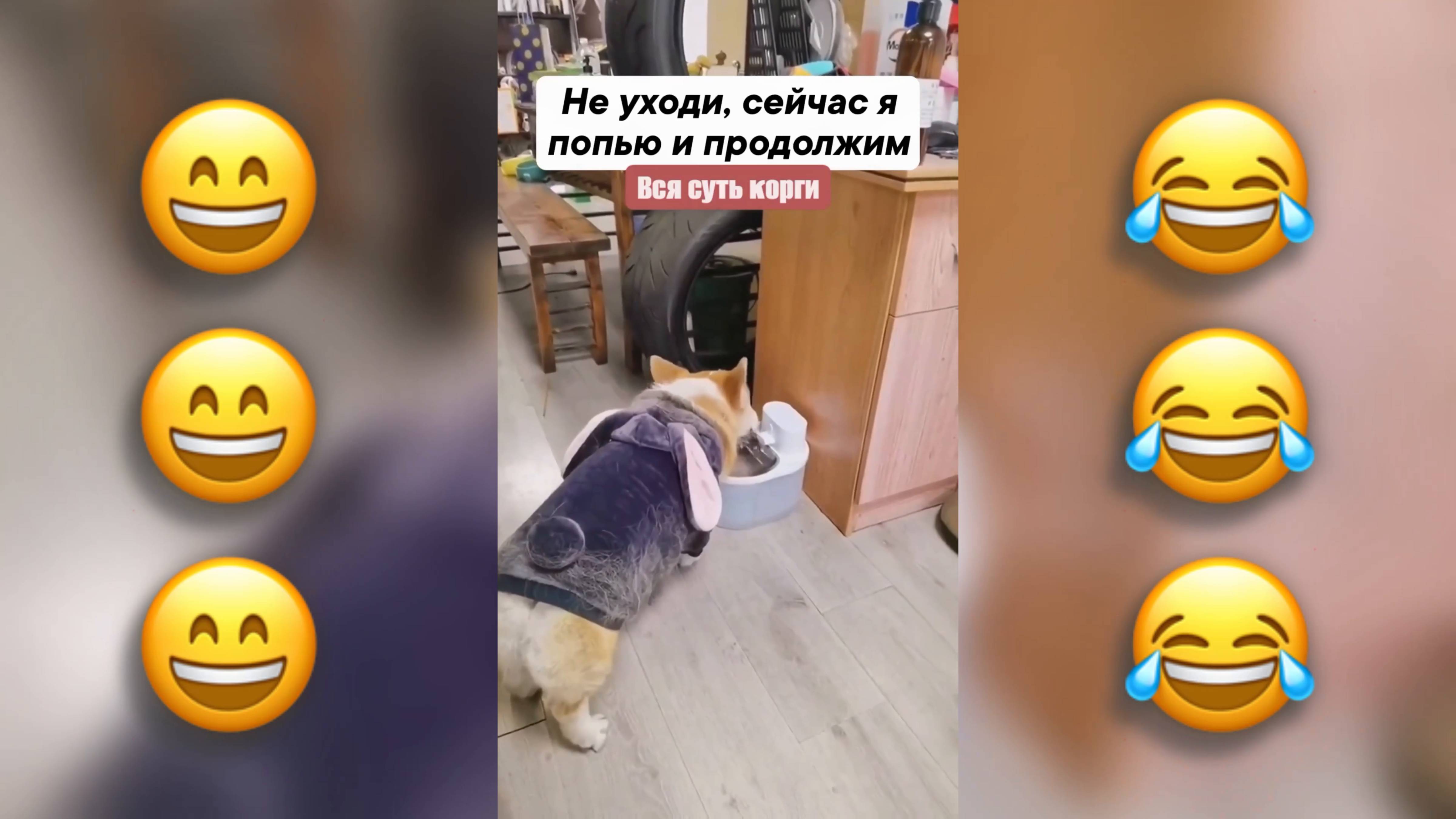 Сборник приколов: второй уровень юмора