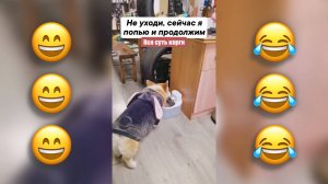 Сборник приколов: второй уровень юмора
