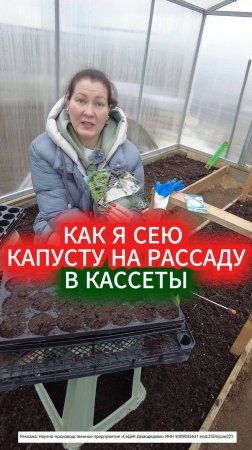 КАК ПОСЕЯТЬ КАПУСТУ НА РАССАДУ