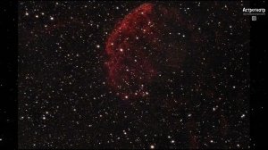 Туманность Медуза (IC443)