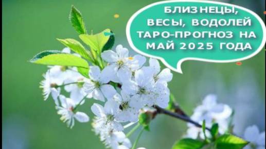 БЛИЗНЕЦЫ, ВЕСЫ, ВОДОЛЕЙ ТАРО-ПРОГНОЗ ЗА МАЙ 2025 ГОДА