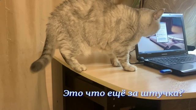 Алиса работает с нами