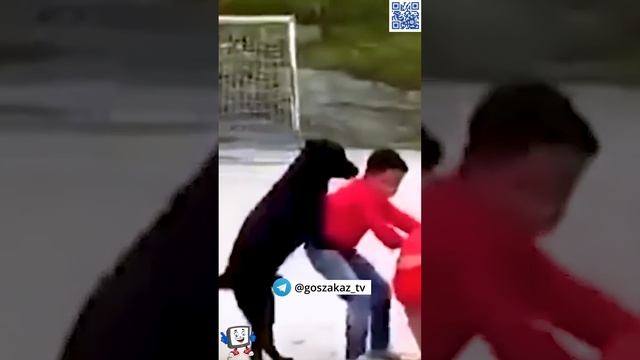 Истории. 🤣🤣🤣 Смешные и поучительные