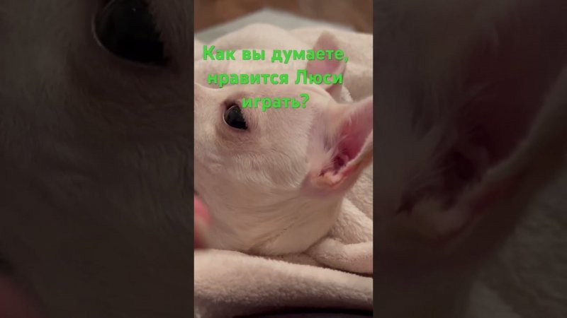 Как вы думаете, нравится ли Люси эта игра?