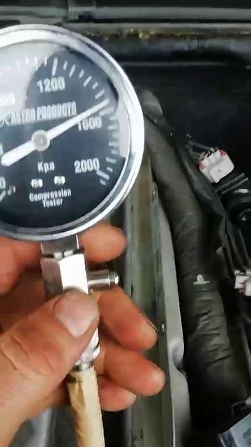 VID-20250304-WA0004