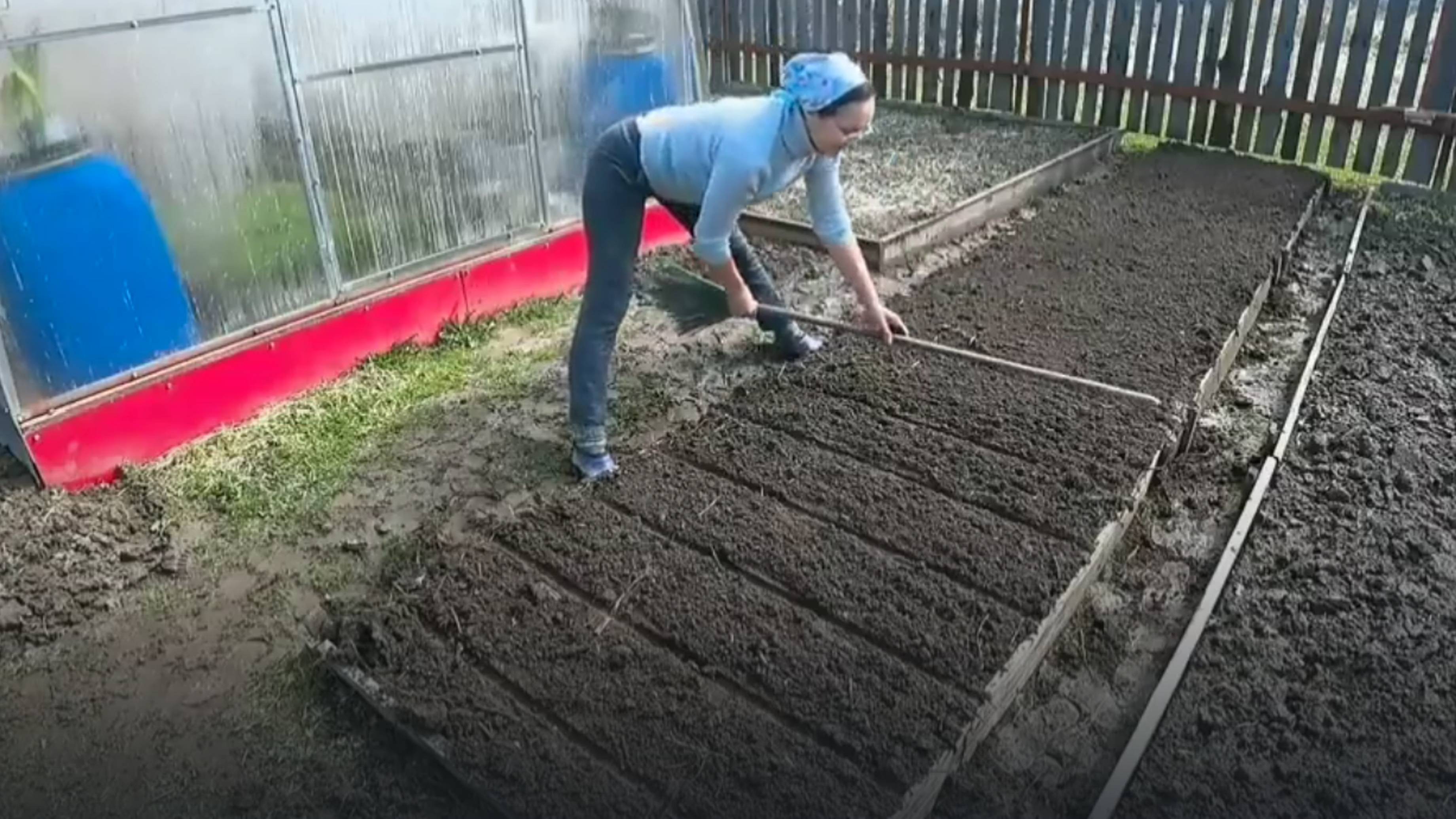 6 соток 22 апреля 2021 год. Морковь посеяна, огурец посажен, гелениум реанимировала..