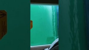 Круиз на катамаране, обзор Lagoon 400 S.