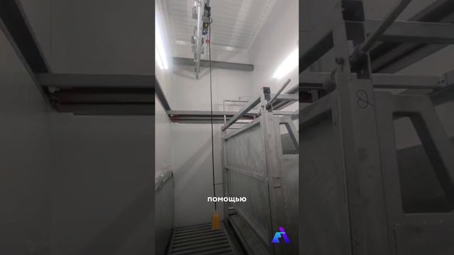 Бокс оглушения КРС