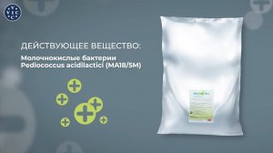 Эффективный инструмент для профилактики заболеваний ЖКТ свиней - Бактосель
