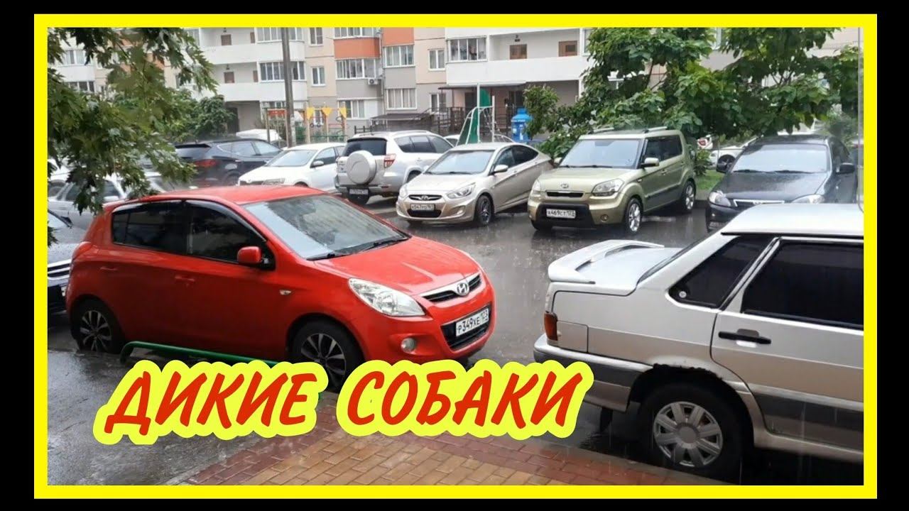 В КРАСНОДАРЕ НЕ НОСЯТ МАСКИ! МАМА ЖАЛЕЕТ ДЕНЕГ. КУПИЛИ ВОНЮЧУЮ КУРУ.