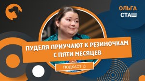 Ольга Сташ: «Пуделя приучают к резиночкам с пяти месяцев»