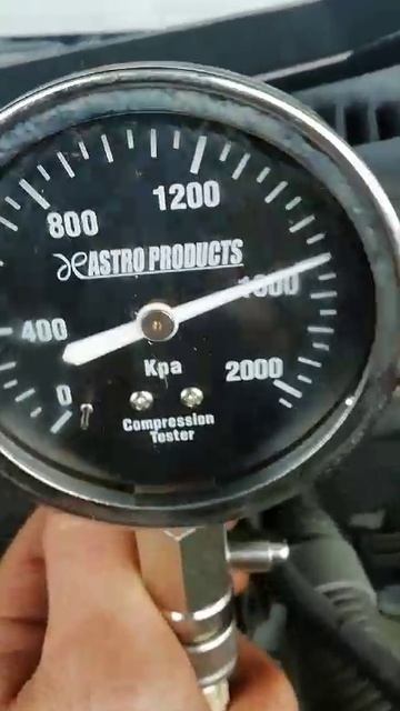 VID-20250304-WA0001