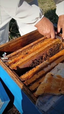 Апрель 🐝🐝🐝🐝 Печатка 🐝🐝🐝🐝