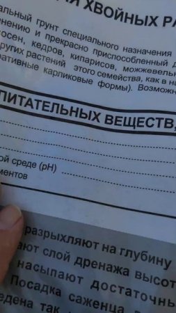 Грунт для хвойных растений