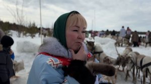 День оленевода, который отмечается 12 апреля.