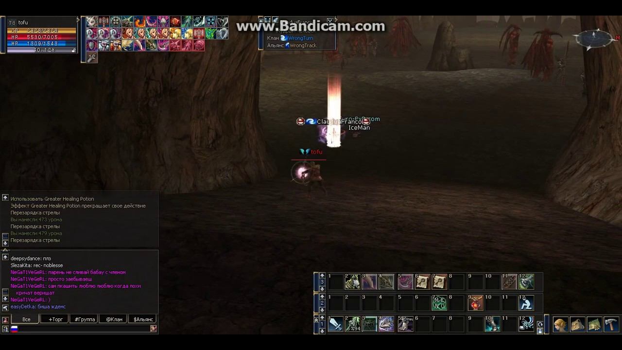 Lineage II euro-pvp x100 фан ПК