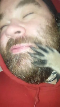 🚀  🦝 sniffs