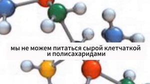 Одинец А. Г. разработал уникальный продукт для быстрого и полного восстановления организма