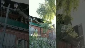 Спил упавшего дерева в Энгельсе специалистами