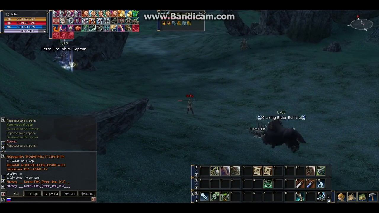 Lineage II euro-pvp x100 фан ПК