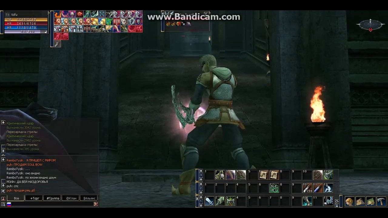 Lineage II euro-pvp x100 фан ПК