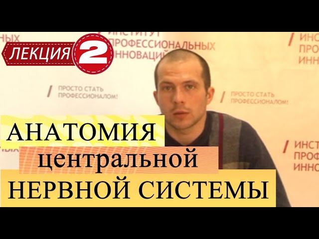 Анатомия центральной нервной системы. Лекция 2. Структурные функциональные единицы организма.