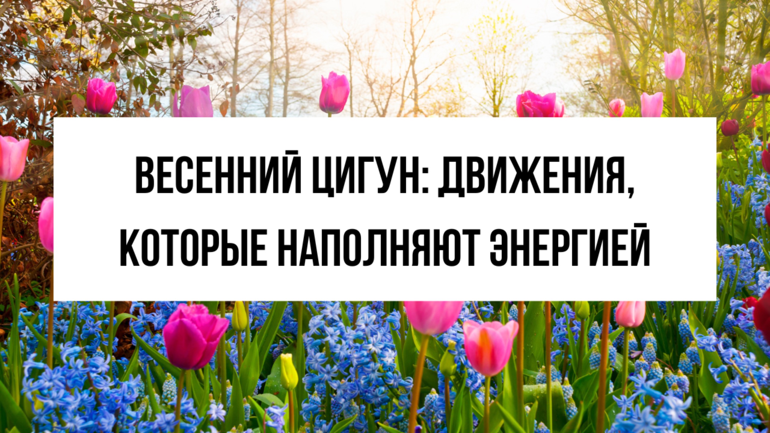 Координация, энергия, сила: одно упражнение из цигун