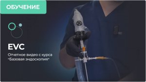 Практикум в Европейском ветеринарном центре. Базовый курс на оборудовании AOHUA от DiAR vet.