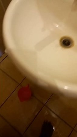 STAINED TOILETS CLEANING SERVICES IN NAIROBI,KENYA(BEFORECLEANING).+254 726 933 261.+254 784 933 26