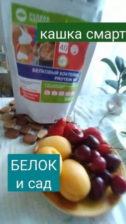 #белок #сладкоежки #shorts #садмечты