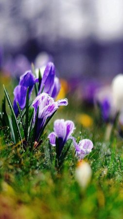 ⭐ ПРОГНОЗ НА НЕДЕЛЮ С 14.04.2025 ПО 20.04.2025 ⭐ Контакты floransia@yandex.ru