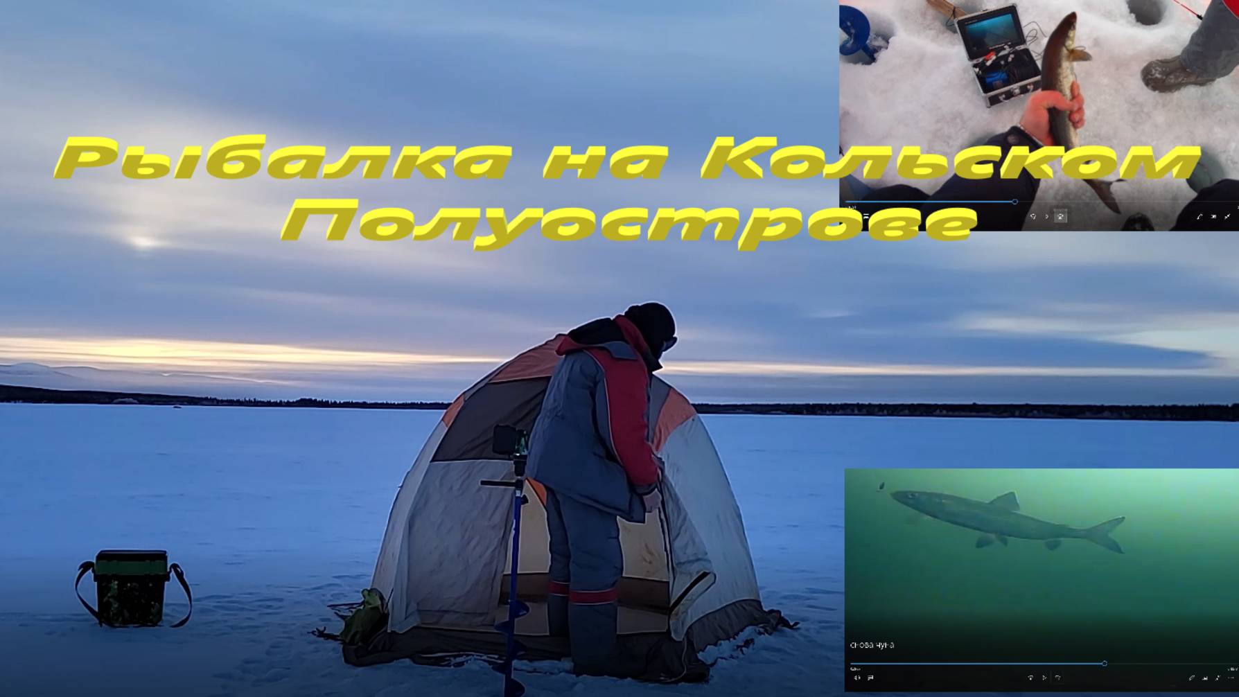 Рыбалка на Кольском Полуострове. Ловля сига и окуня в Воче ламбине.