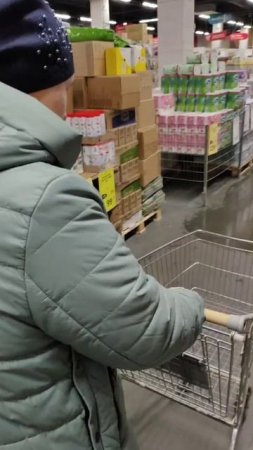 проект "Включайся  в жизнь"