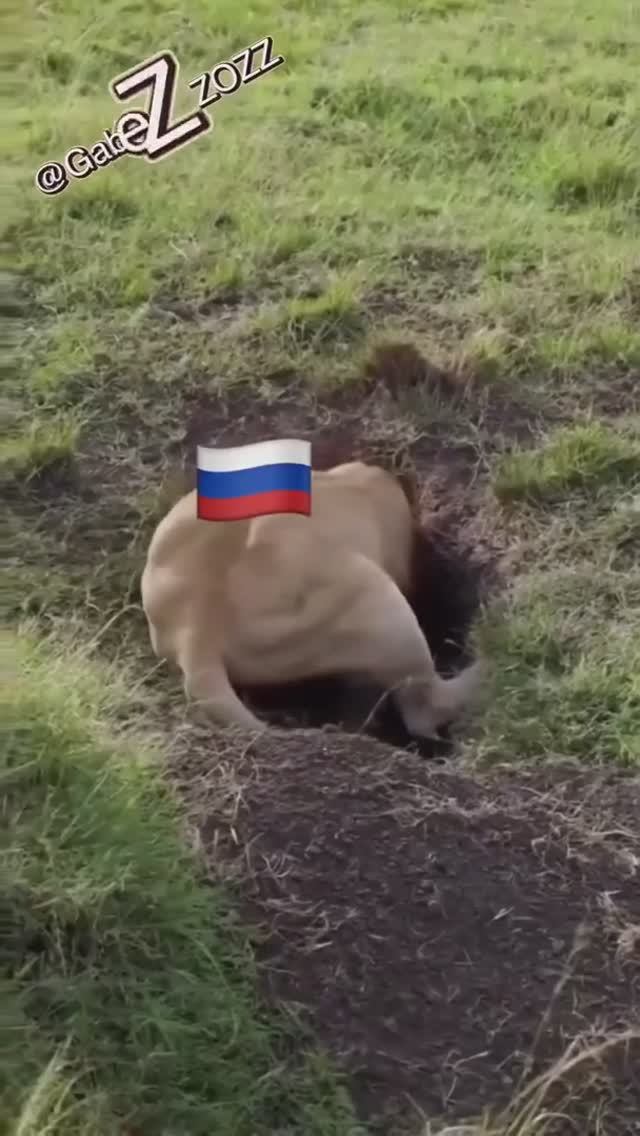 Зачистка опорника ВСУ