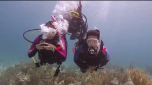 PADI Divemaster