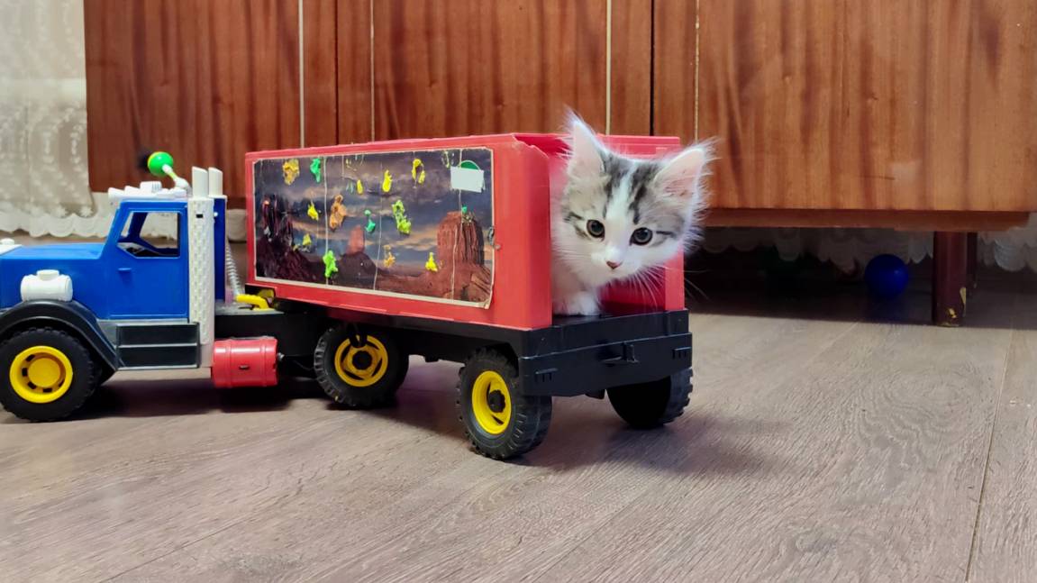 Счастливые котята и детский грузовик. Мама кошки присматривает за котятами.