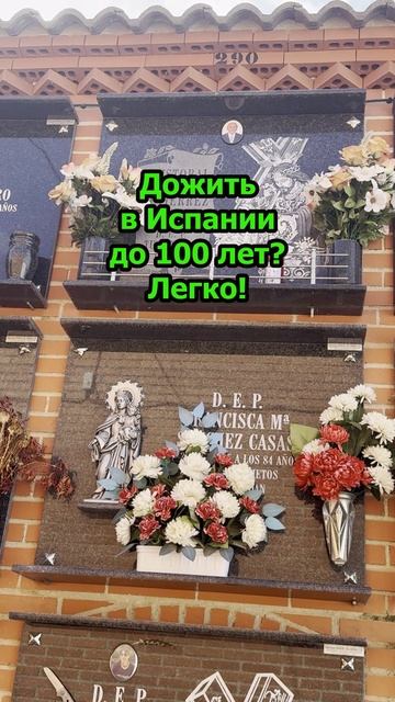 👵🧓Дожить в Испании до 100 лет?🎉Легко!