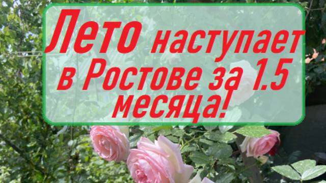 Лето наступает в Ростове-на-Дону  за 1.5 месяца!) 2023г