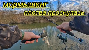 МОРМЫШИНГ, ПЛОТВА ПРОСНУЛАСЬ !!! БЫСТРАЯ РЫБАЛКА НА ДОМАШНЕЙ РЕЧКЕ !!!
